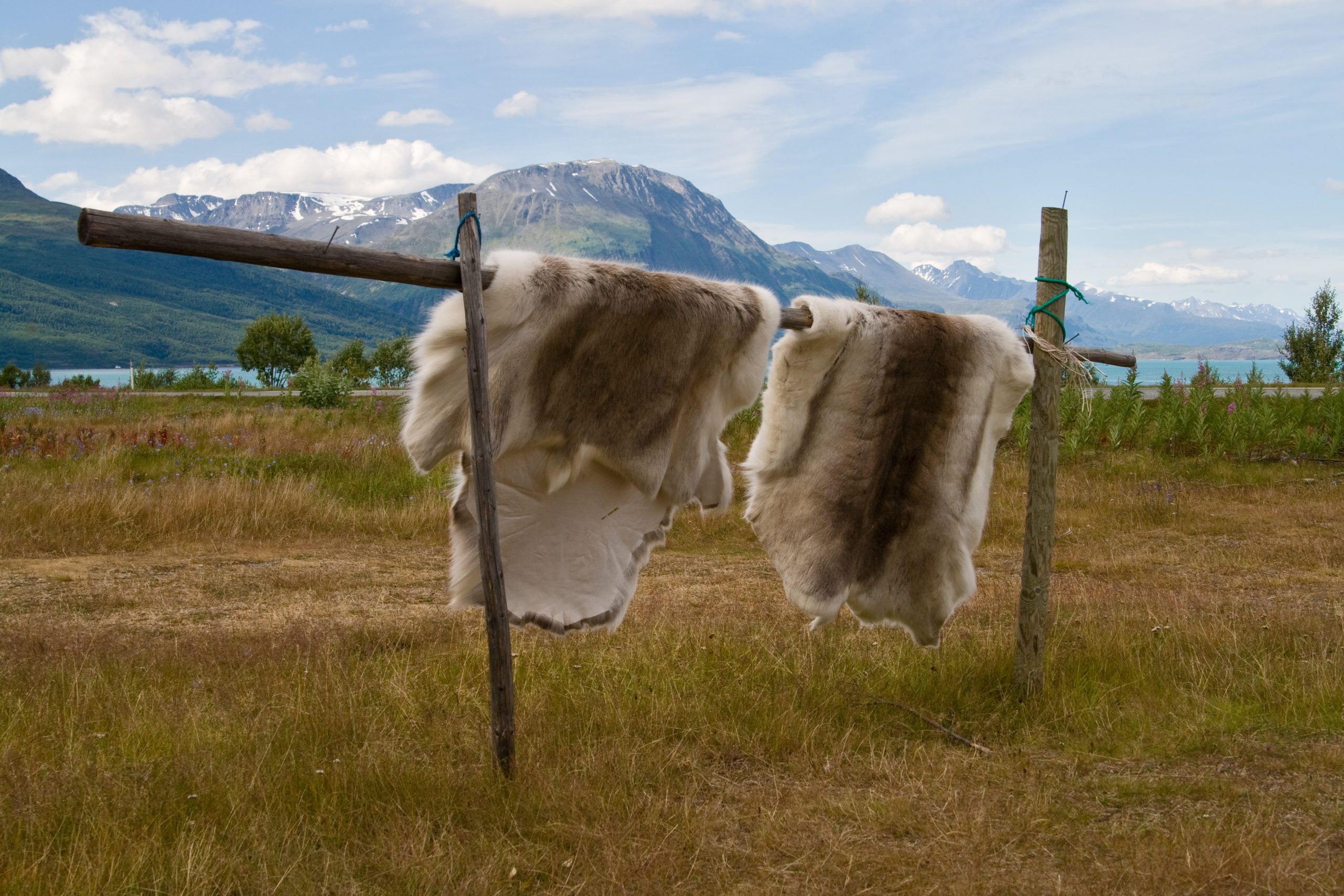 Andre produkt - Rein Fra Jotunheimen